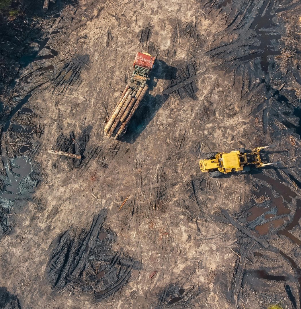 About us - Environmental Group